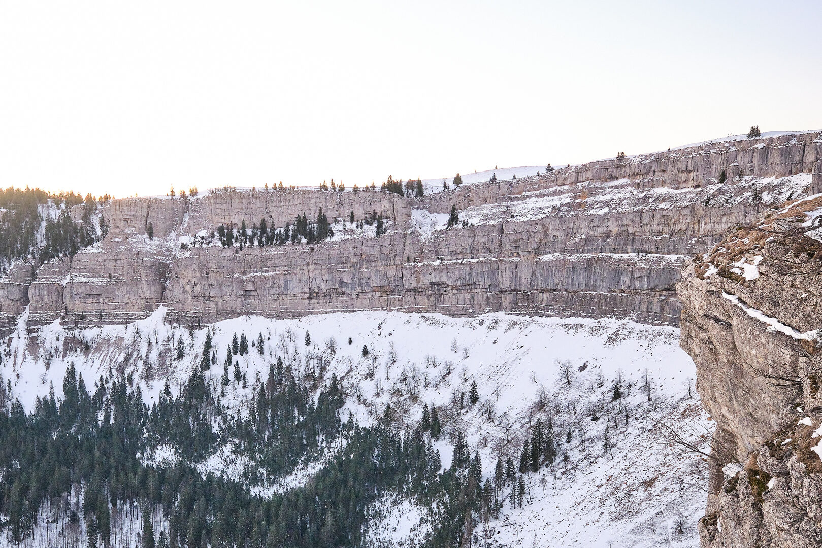 L'AVIVO - AVIVO Neuchâtel